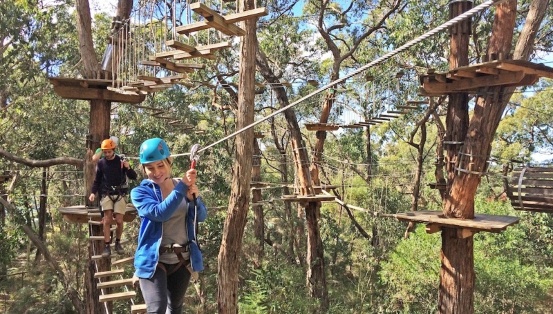 Enchanted Adventure Garden Tree Surfing Team… | Venues 2 Events